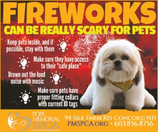 Fireworks Can Be Really Scary for Pets, Pope Memorial SPCA, Concord, NH